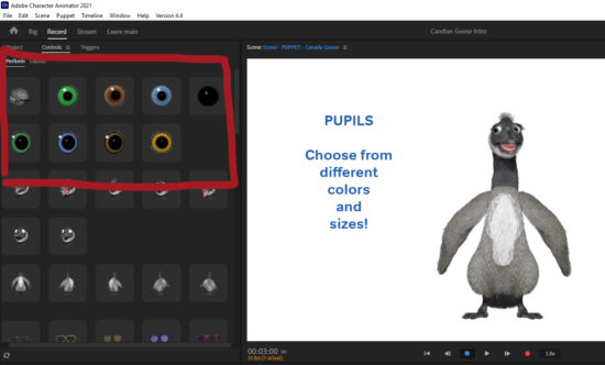 Callie the Canadian Goose | adobe character-animator puppets for sale